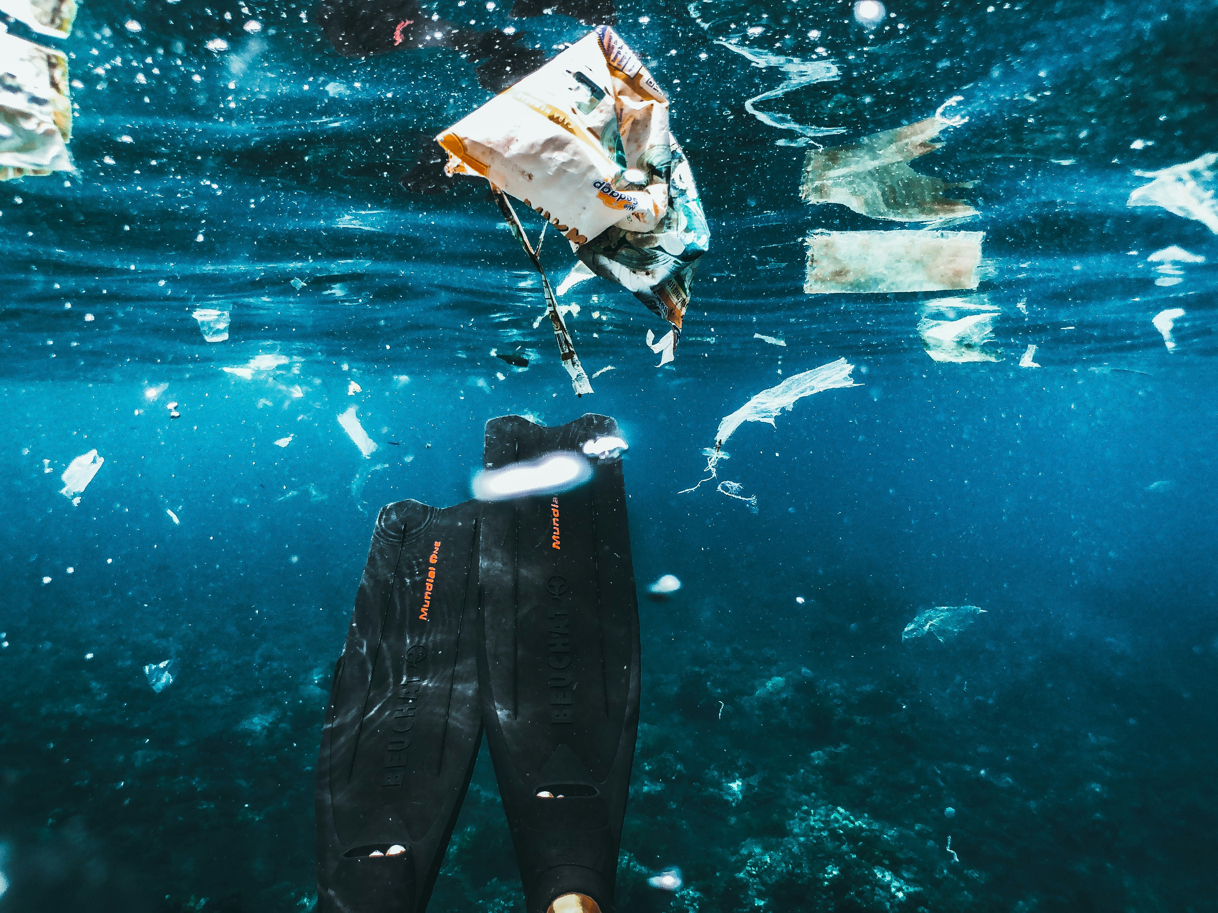 Breakthrough to combat microplastics - JCU Australia
