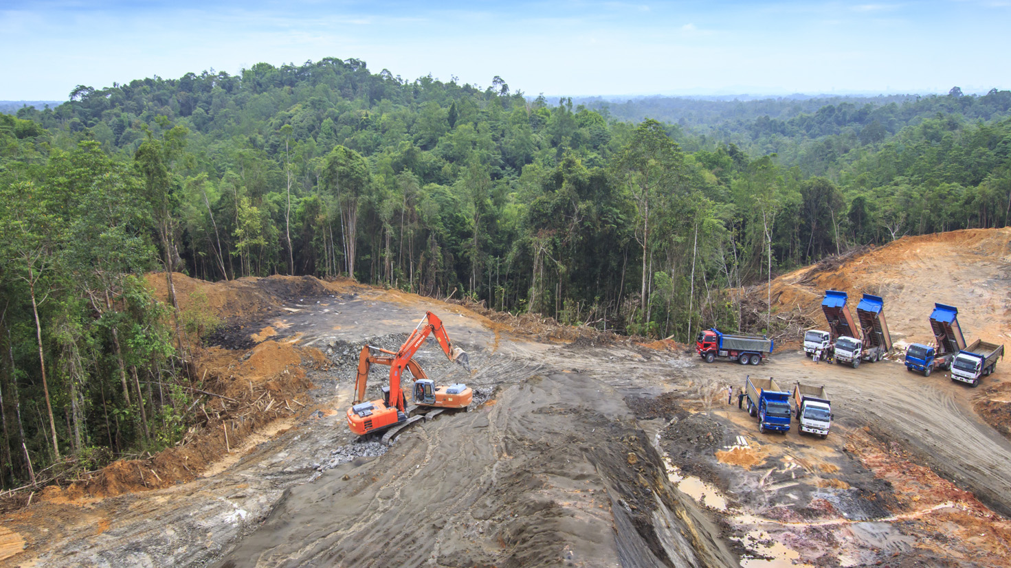 Are roads ruining nature? - JCU Australia