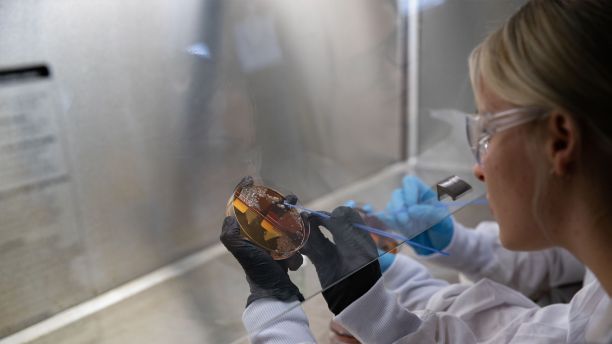 Study Medical Laboratory Science - JCU Australia