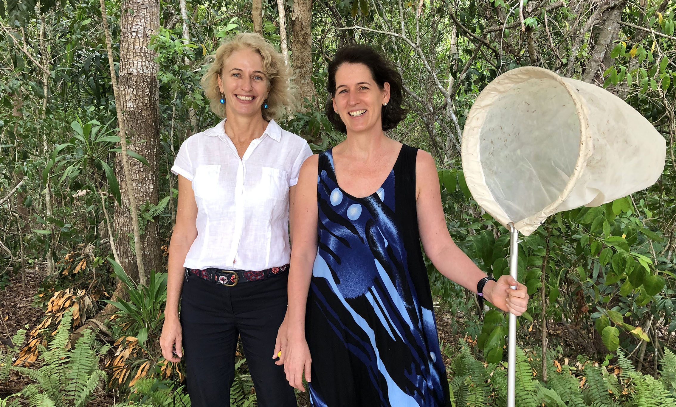What’s bugging the rainforest? - Dec 2019 - JCU Australia