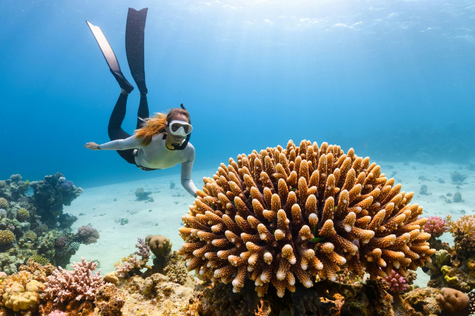 100 trillion pixels unveil the world’s coral reefs - JCU Australia