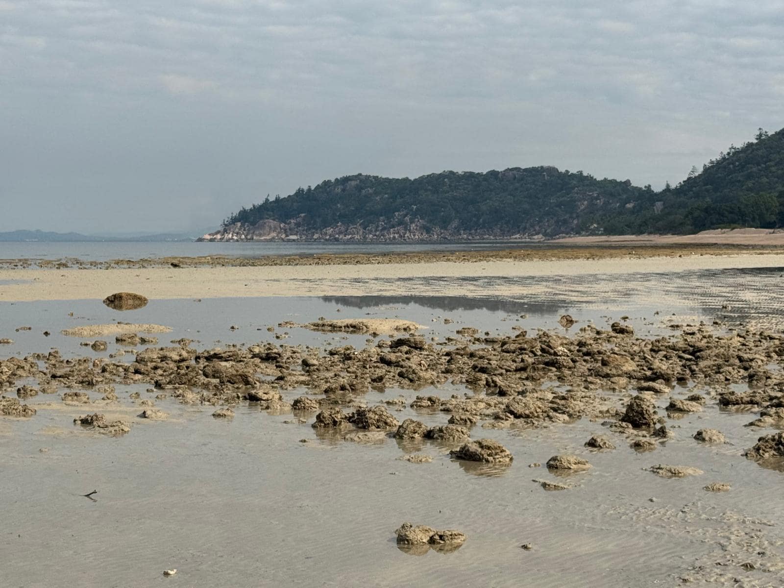 Urgent action needed to combat coastal degradation - JCU Australia